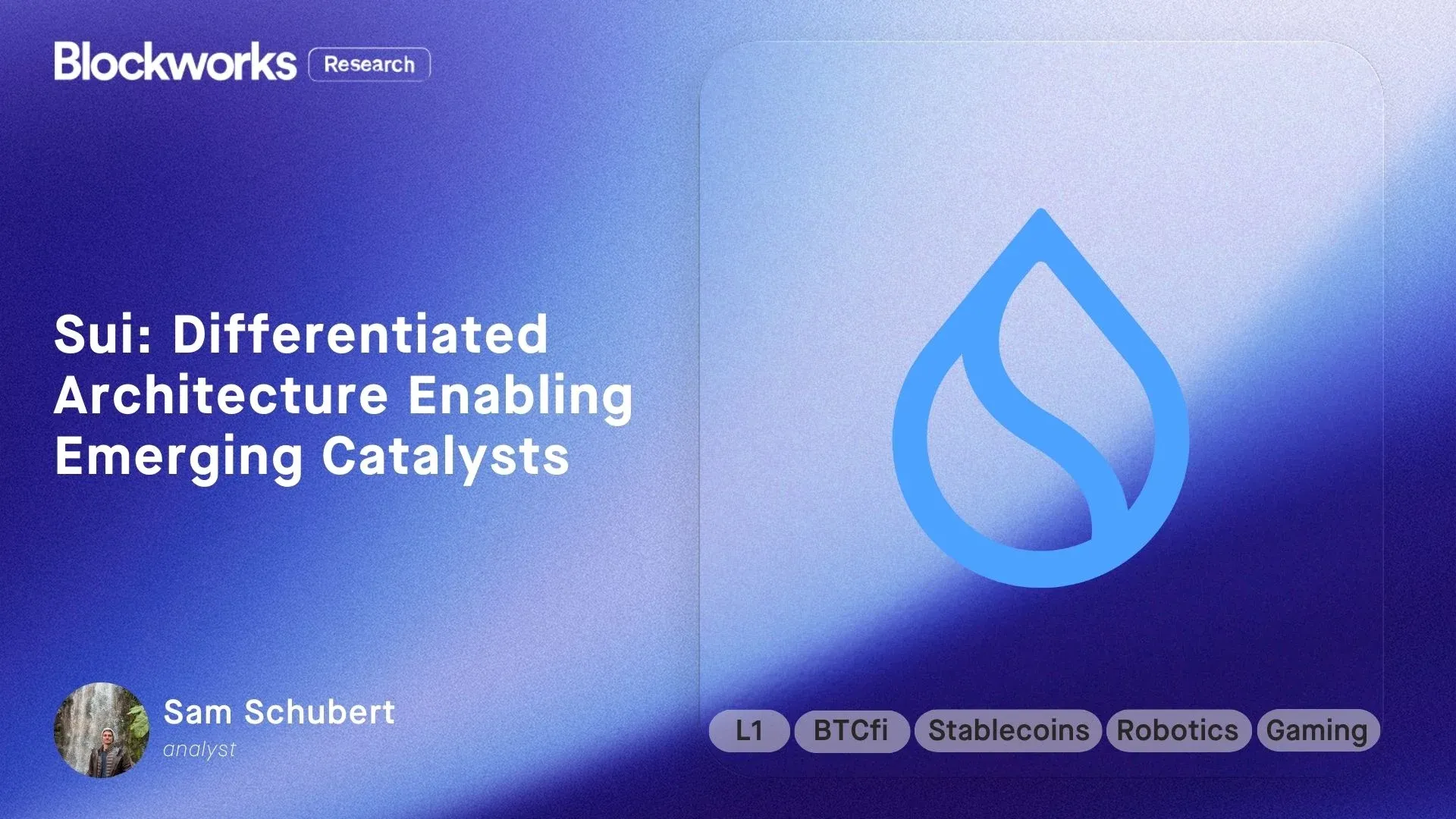 Sui: Differentiated Architecture Enabling Emerging Catalysts ...