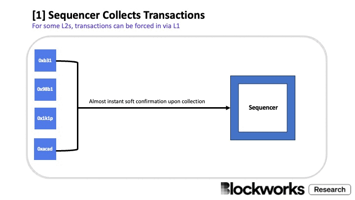 Sequencers: The Key to The Rollup Investment Thesis | Blockworks Research